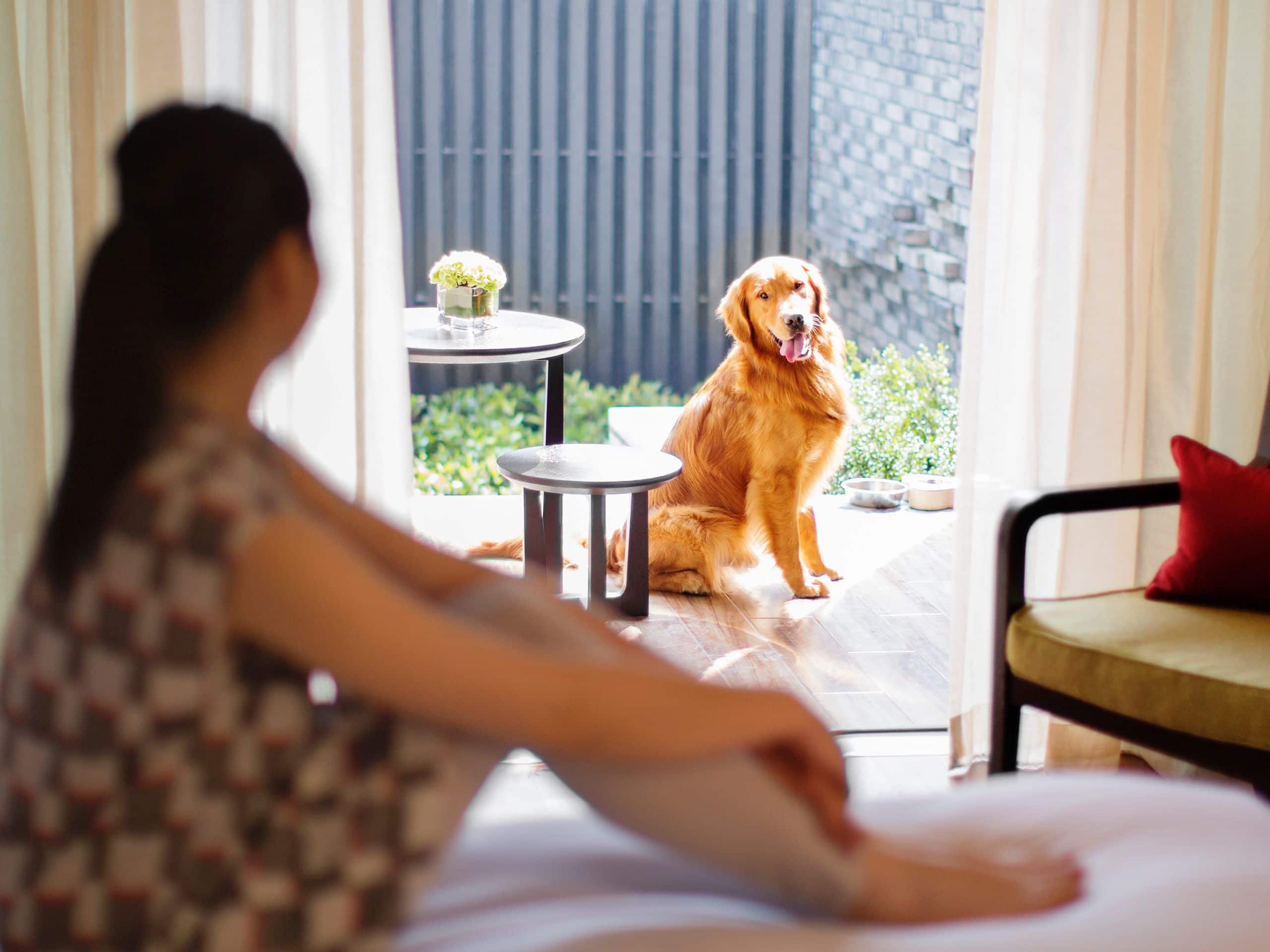 Chongming Hotel Accommodations | Rooms - Hyatt Regency