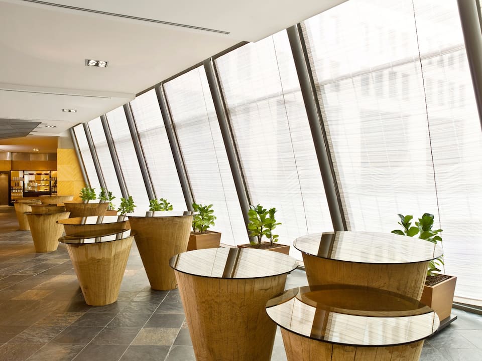 Hotels in Mainz at the Rhine River - Hyatt Regency Mainz