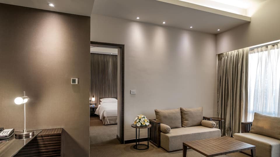 Business Hotels in Raipur , Hotels in Raipur - Hyatt Raipur