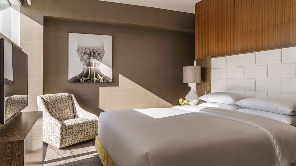 Hotel In Tysons Corner, VA | Hyatt Regency Tysons Corner Center
