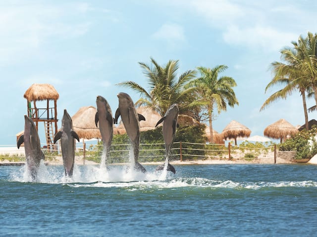 Cancun All Inclusive Family Resort - Hyatt Ziva