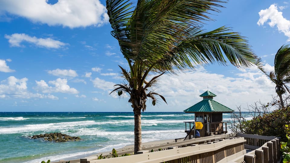 Hotel Photos | Hyatt Place Boca Raton/Downtown