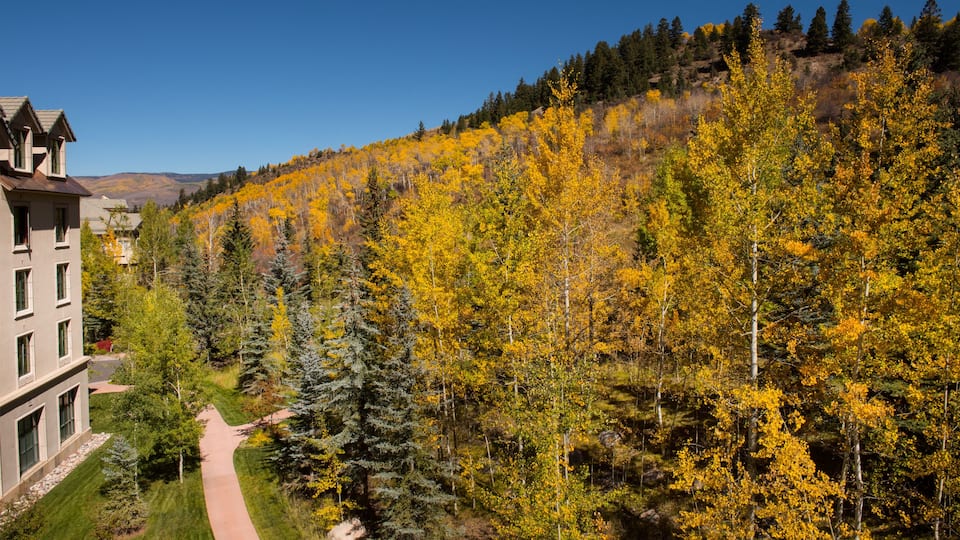 Hotel Photos | Park Hyatt Beaver Creek