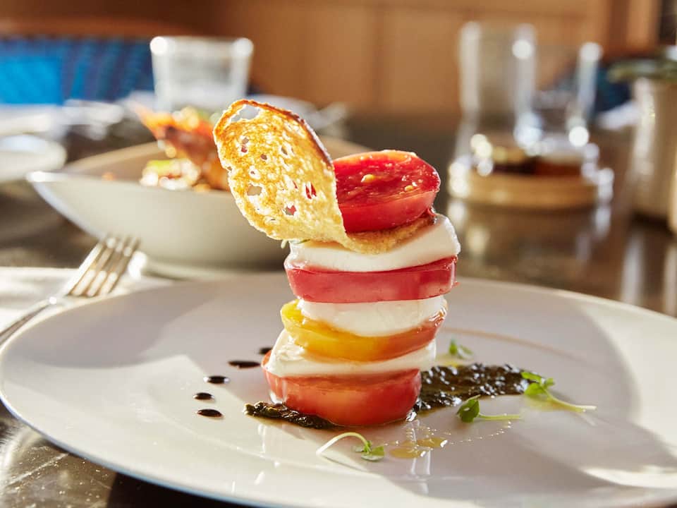 Enviromental Sustainability