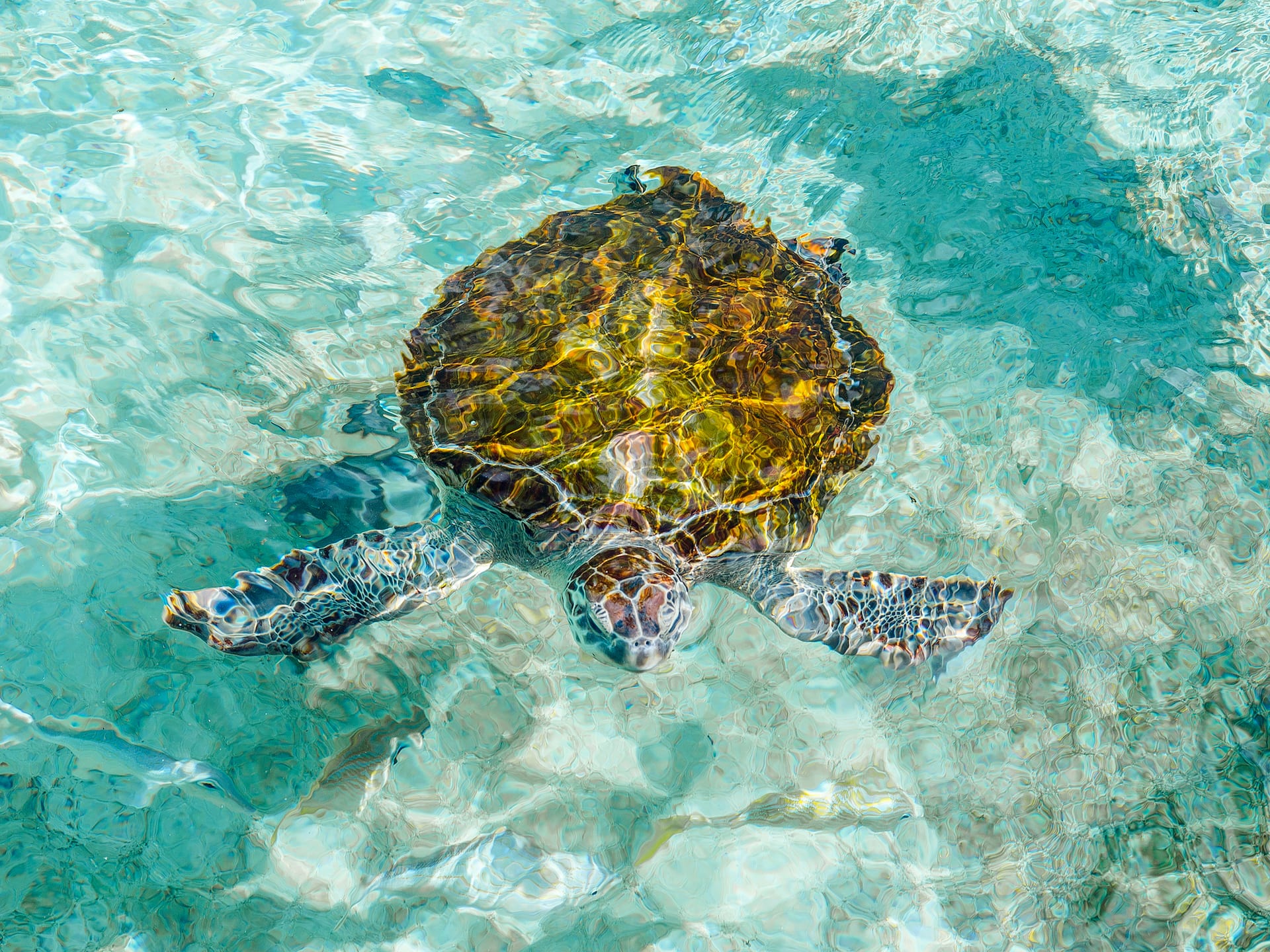 Waterpark in Bahamas | Resort Activities | Grand Hyatt Baha Mar