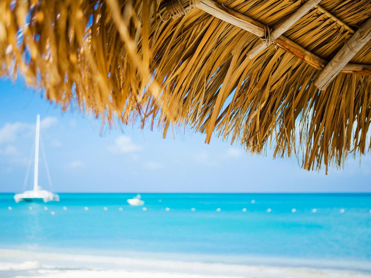 Luxury Beach Resorts in Aruba | Hyatt Regency Aruba Resort Spa & Casino