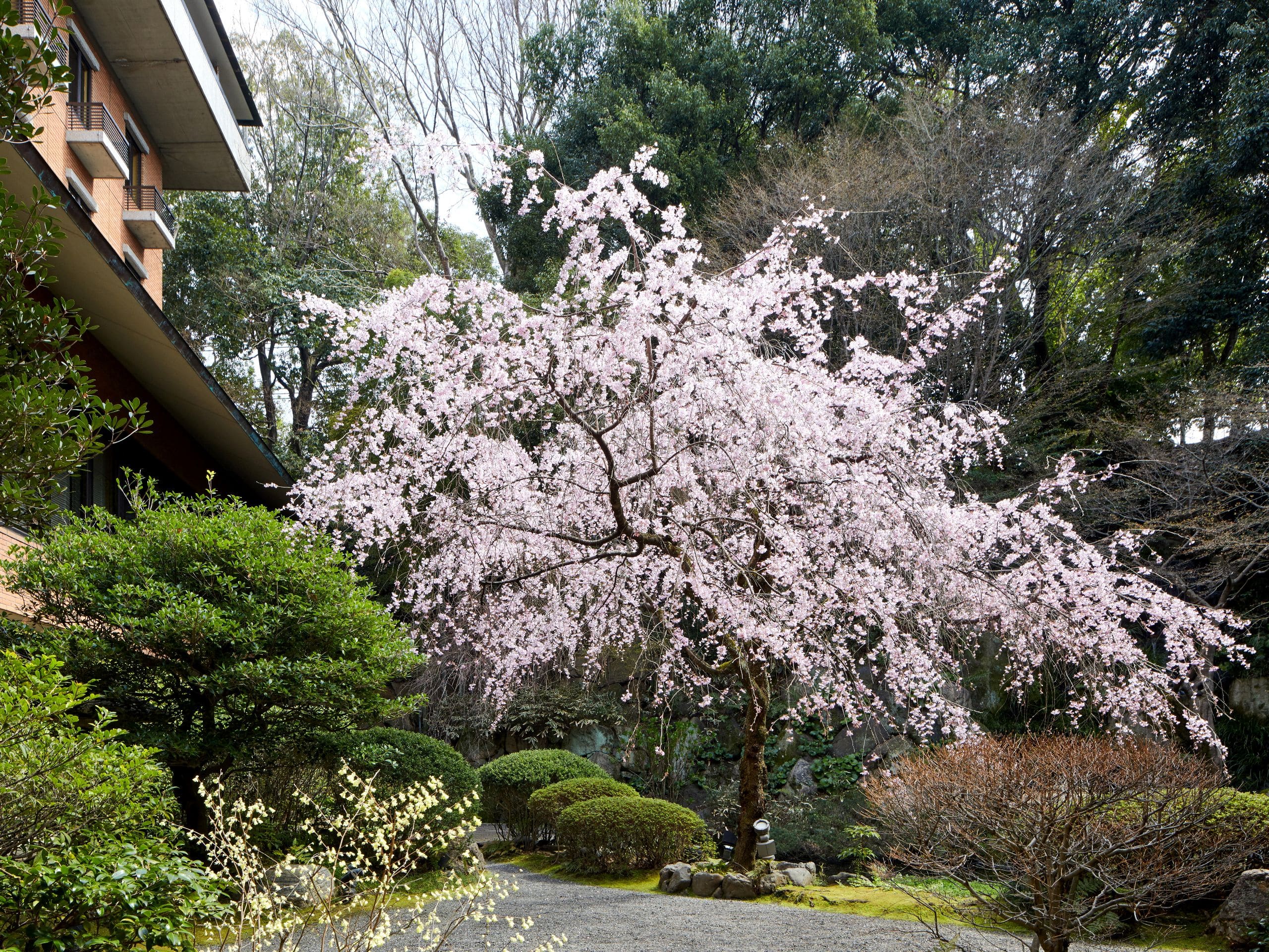 Kyoto Hotel Rooms and Suites | Hyatt Regency Kyoto