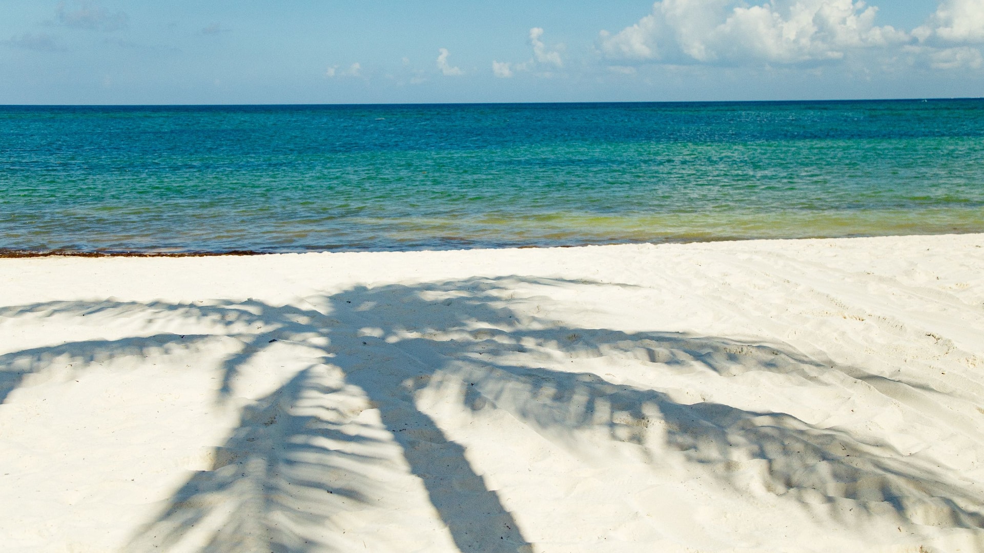 Grand Hyatt Miami Beach | Upscale South Beach Hotel