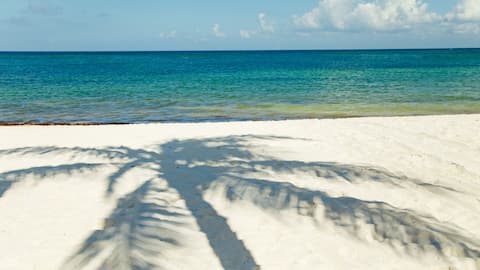 Grand Hyatt Miami Beach | Upscale South Beach Hotel