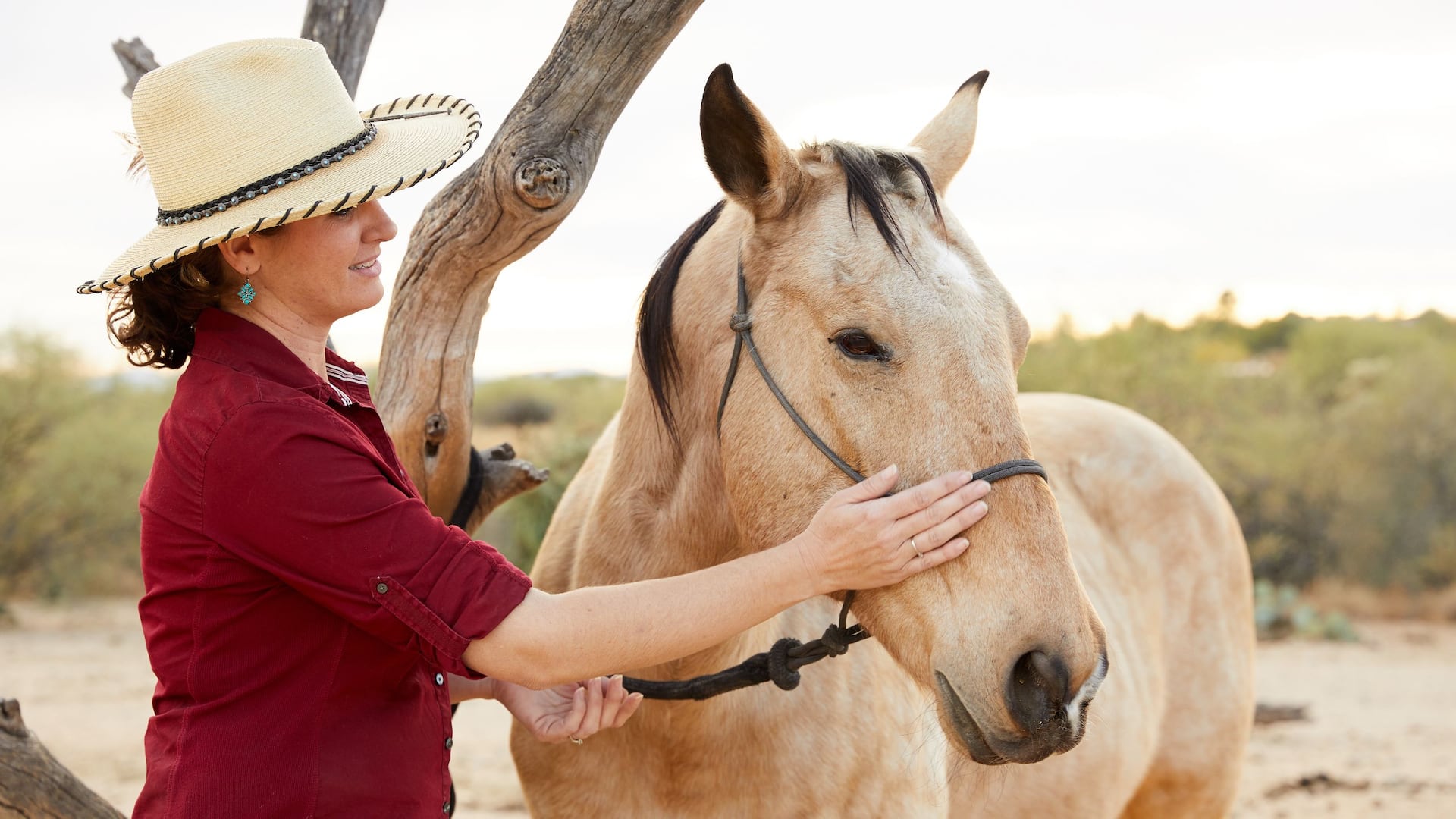 Miraval Austin Address & Directions | Miraval Austin Resort and Spa