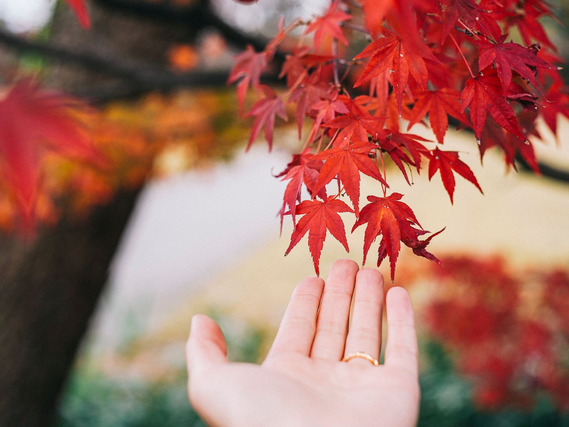 Luxury Hotel at Spring City 66 | Grand Hyatt Kunming