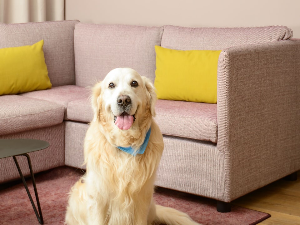 Extended Stay | Hyatt House Paris Charles de Gaulle Airport