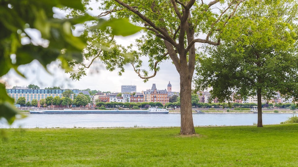 Hotels in Mainz at the Rhine River - Hyatt Regency Mainz