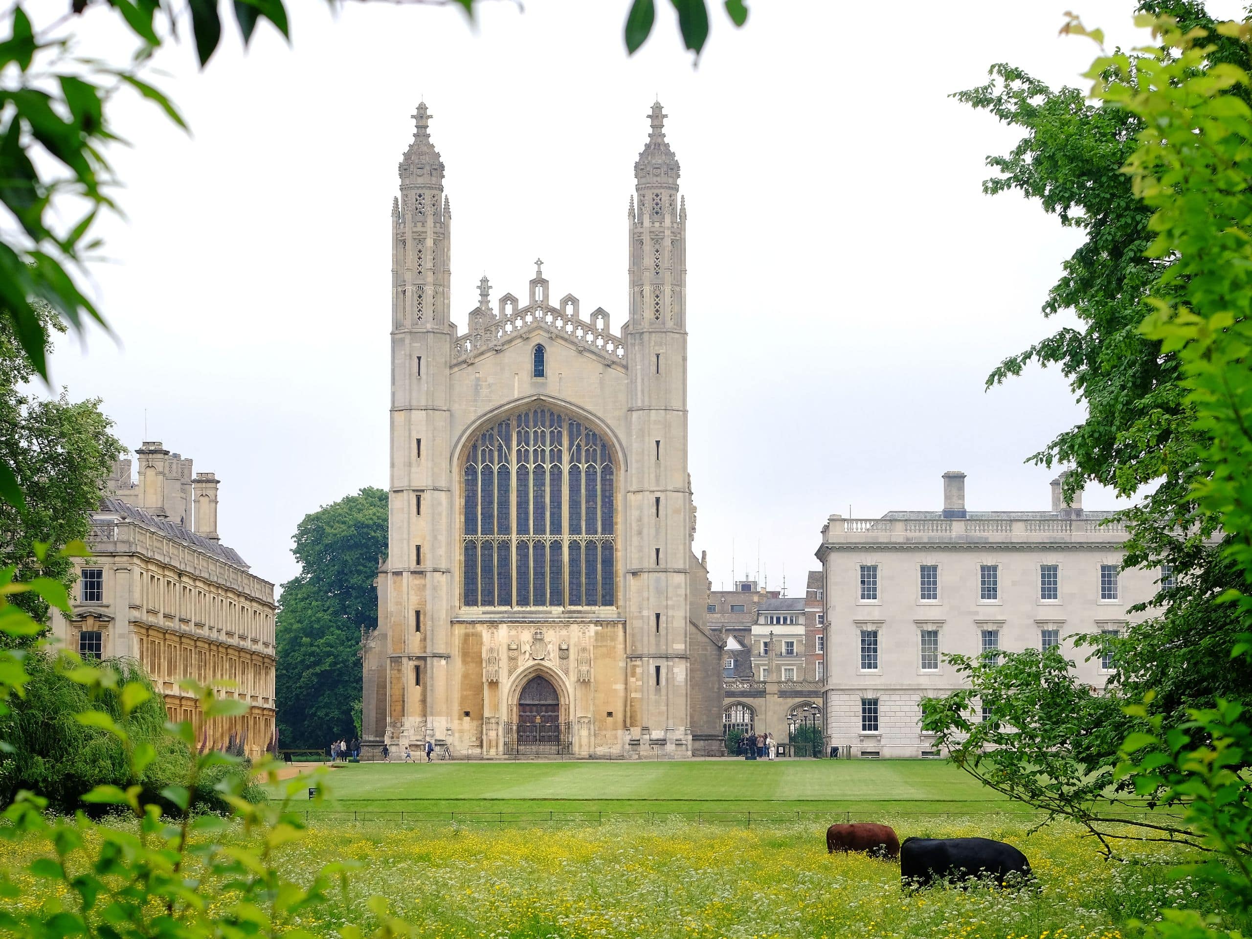 Hotel Photo Gallery | Hyatt Centric Cambridge