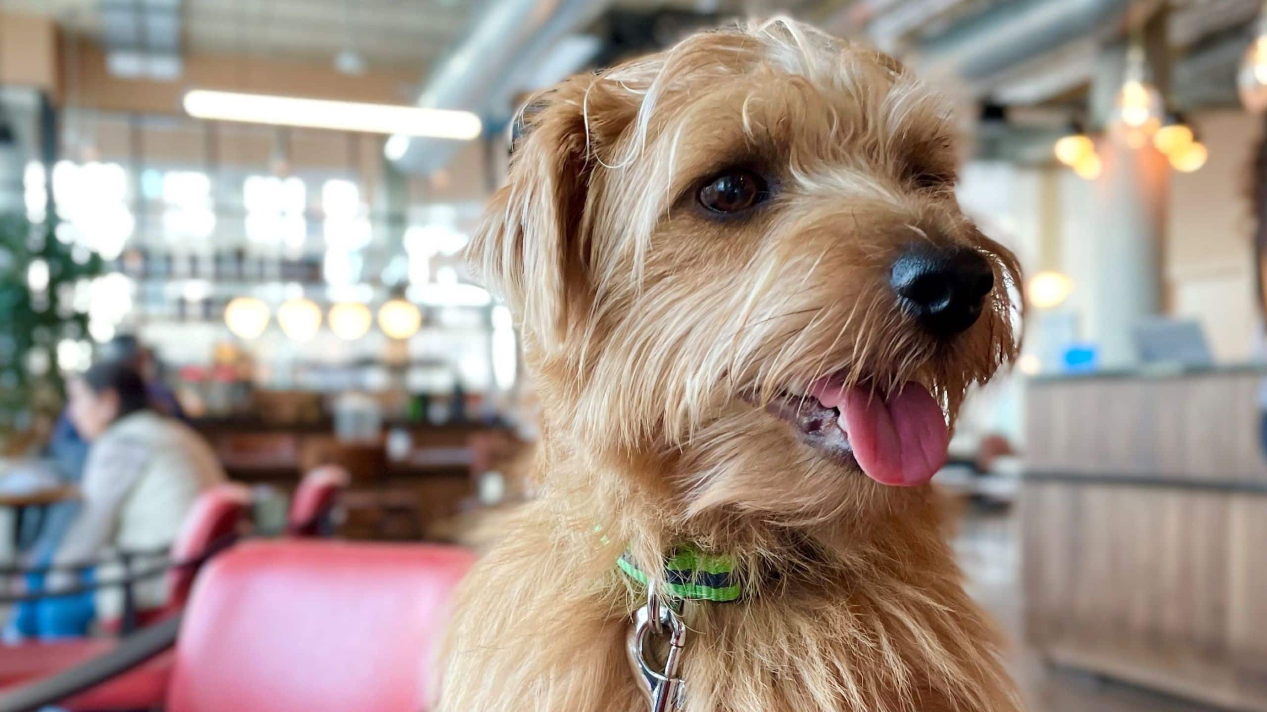 Solo Cambridge Exploration Guide | Hyatt Centric Cambridge