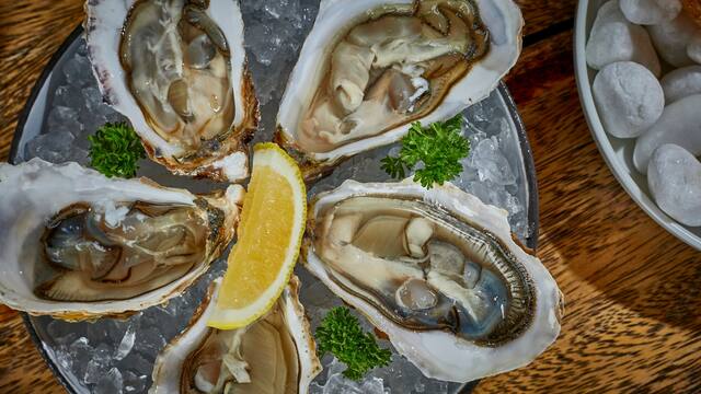 Savor coastal elegance at SESUN Grill and Beach Bar | Dining at Hyatt ...