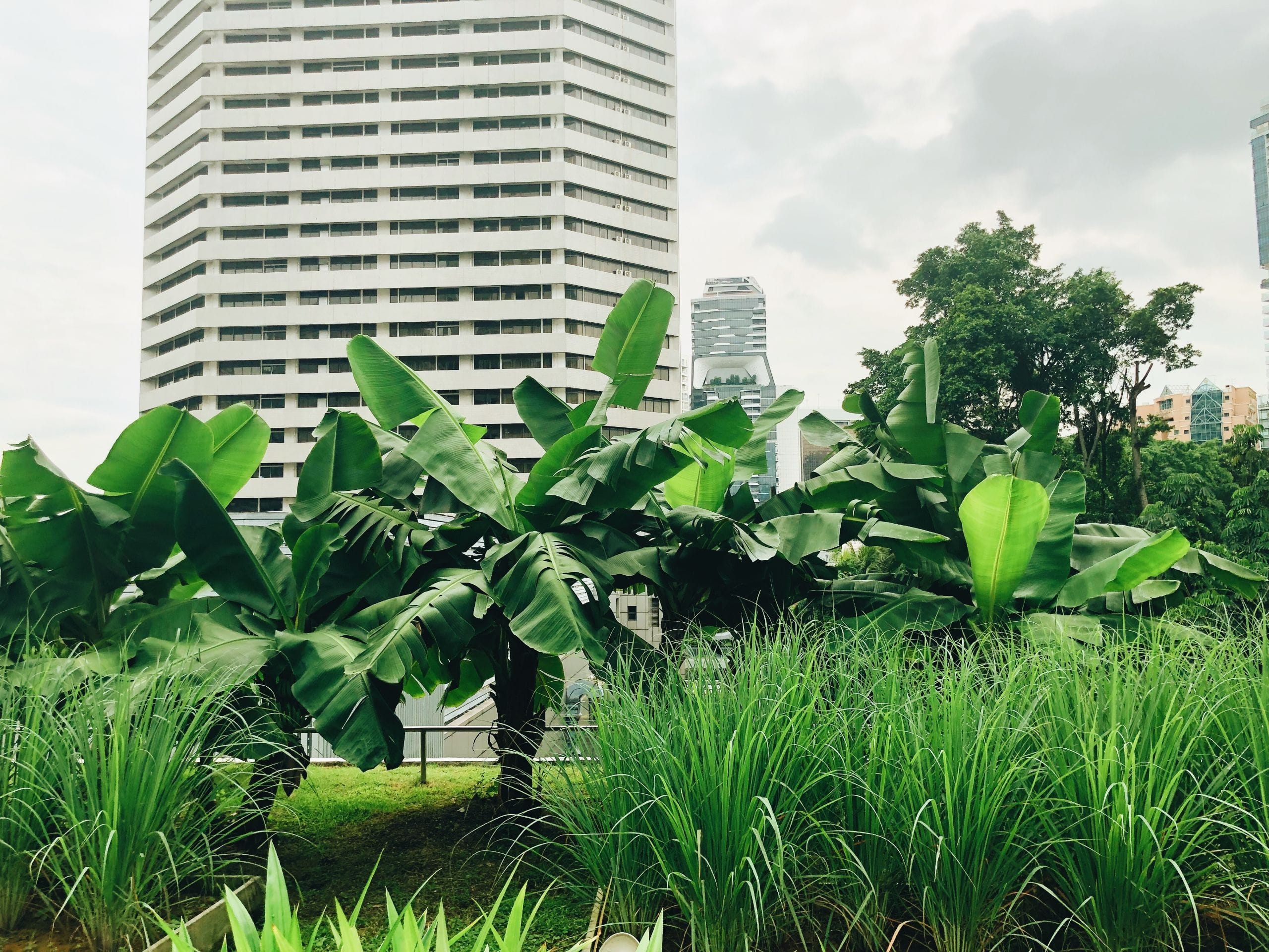 Stay in Green-friendly Hotels Singapore | Grand Hyatt Singapore