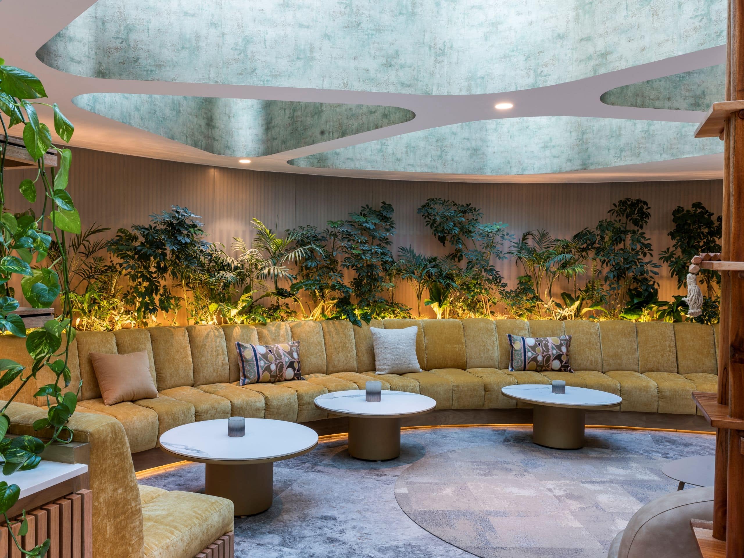 Galeria de fotos do hotel | Andaz Mexico City Condesa