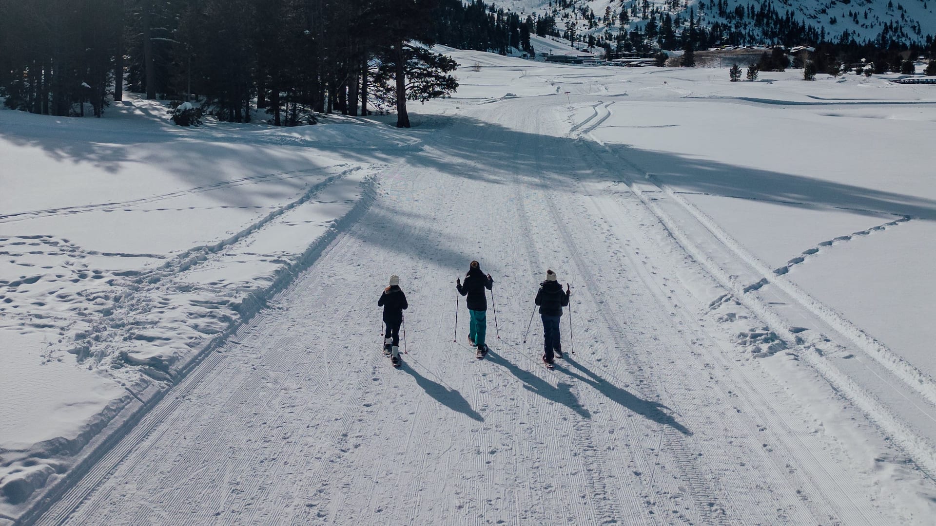 Destination by Hyatt | A Collection of Independent Hotels and Resorts