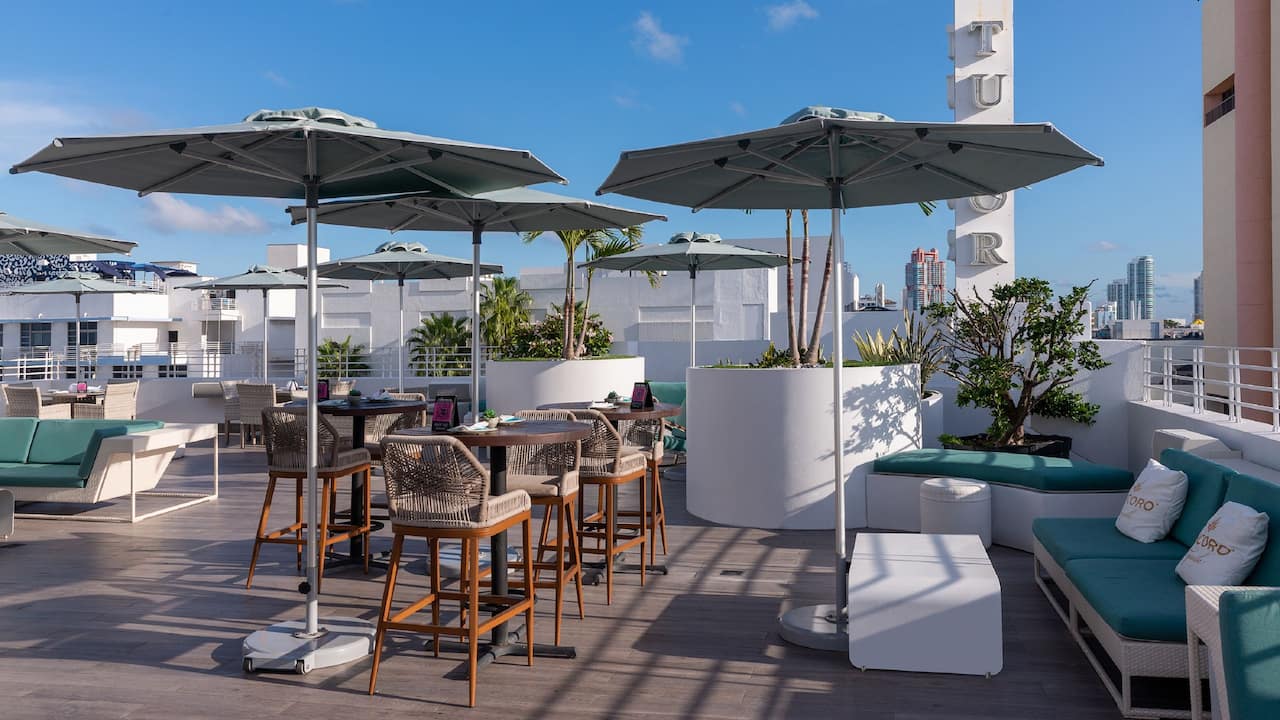 South Beach Hotel Photos And Reviews Dream South Beach By Hyatt