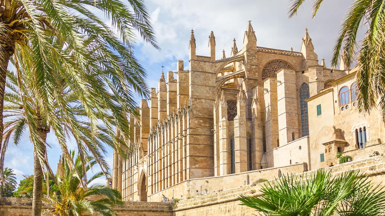 Atracciones de la zona Alua Calvià Mallorca | Hyatt Partner