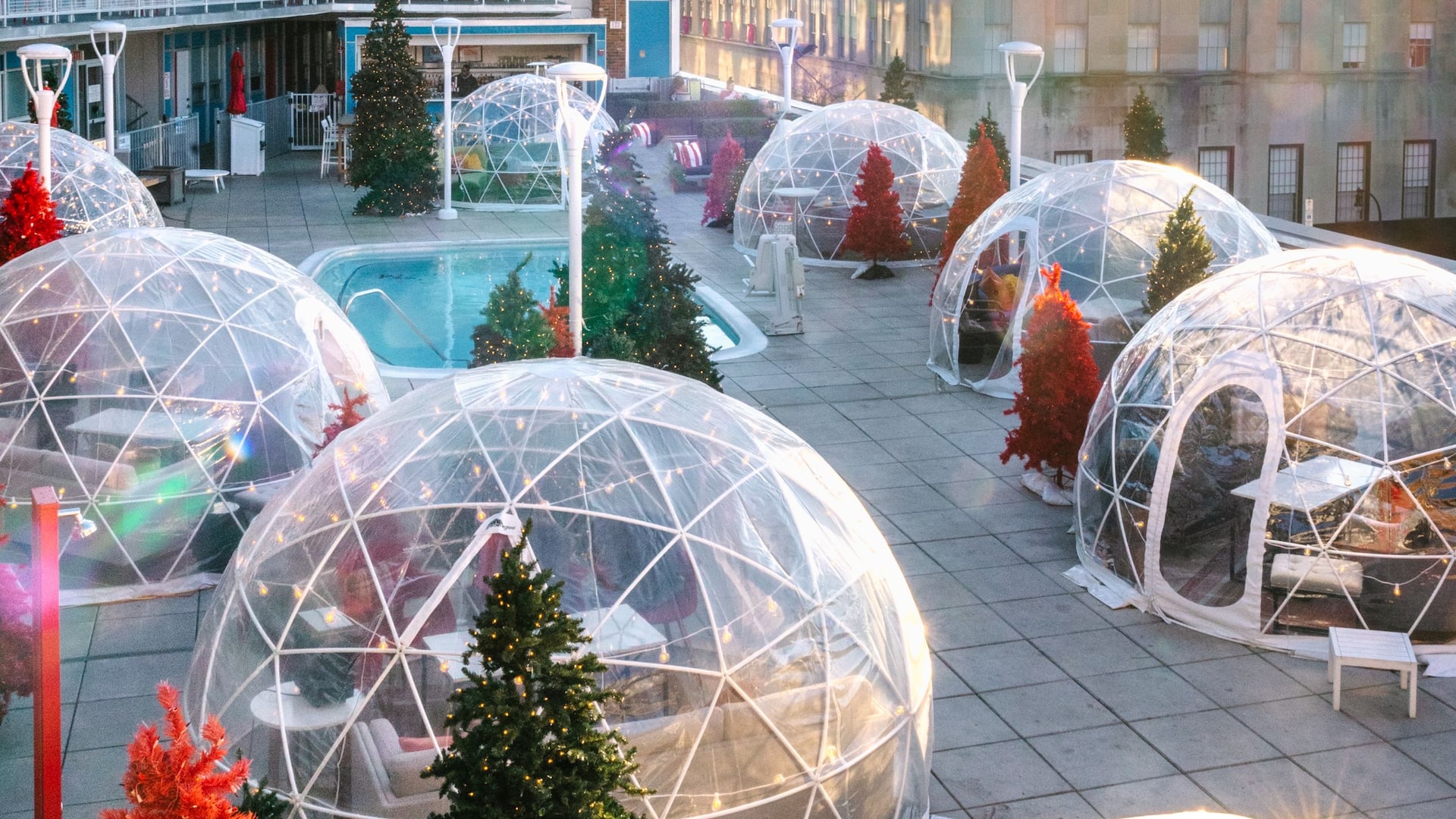 Unique Restaurants in Durham, NC | Unscripted Durham