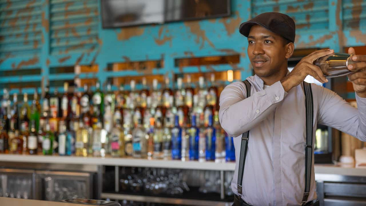 Dining Included | Adults Only Resort | Hyatt Zilara Cap Cana