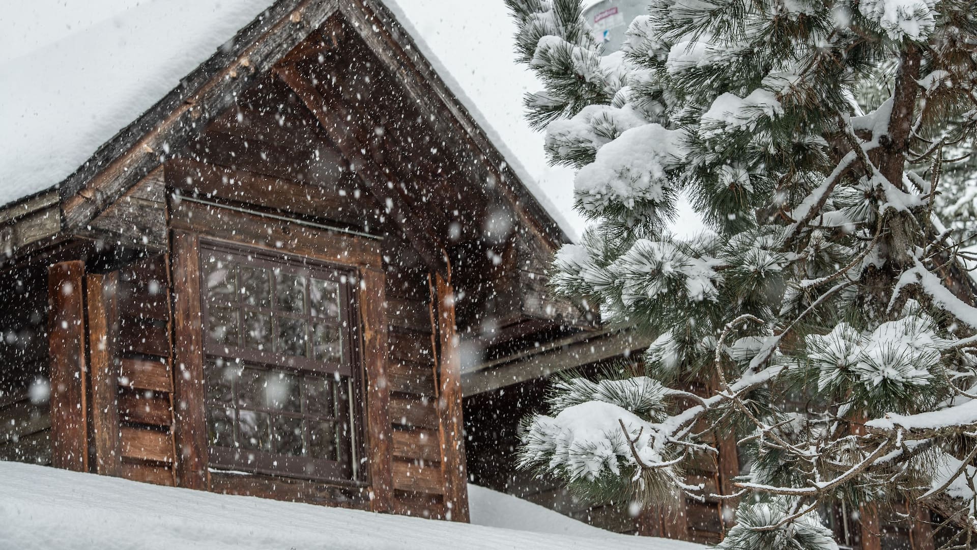 Hotel Photos | The Chatwal Lodge | The Unbound Collection by Hyatt