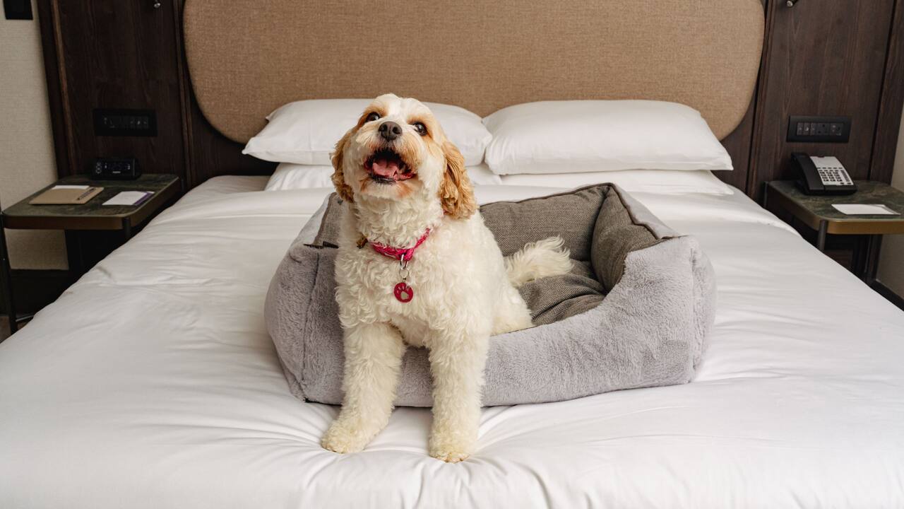 5-star Hotel in the City of London | Hyatt Regency London Blackfriars