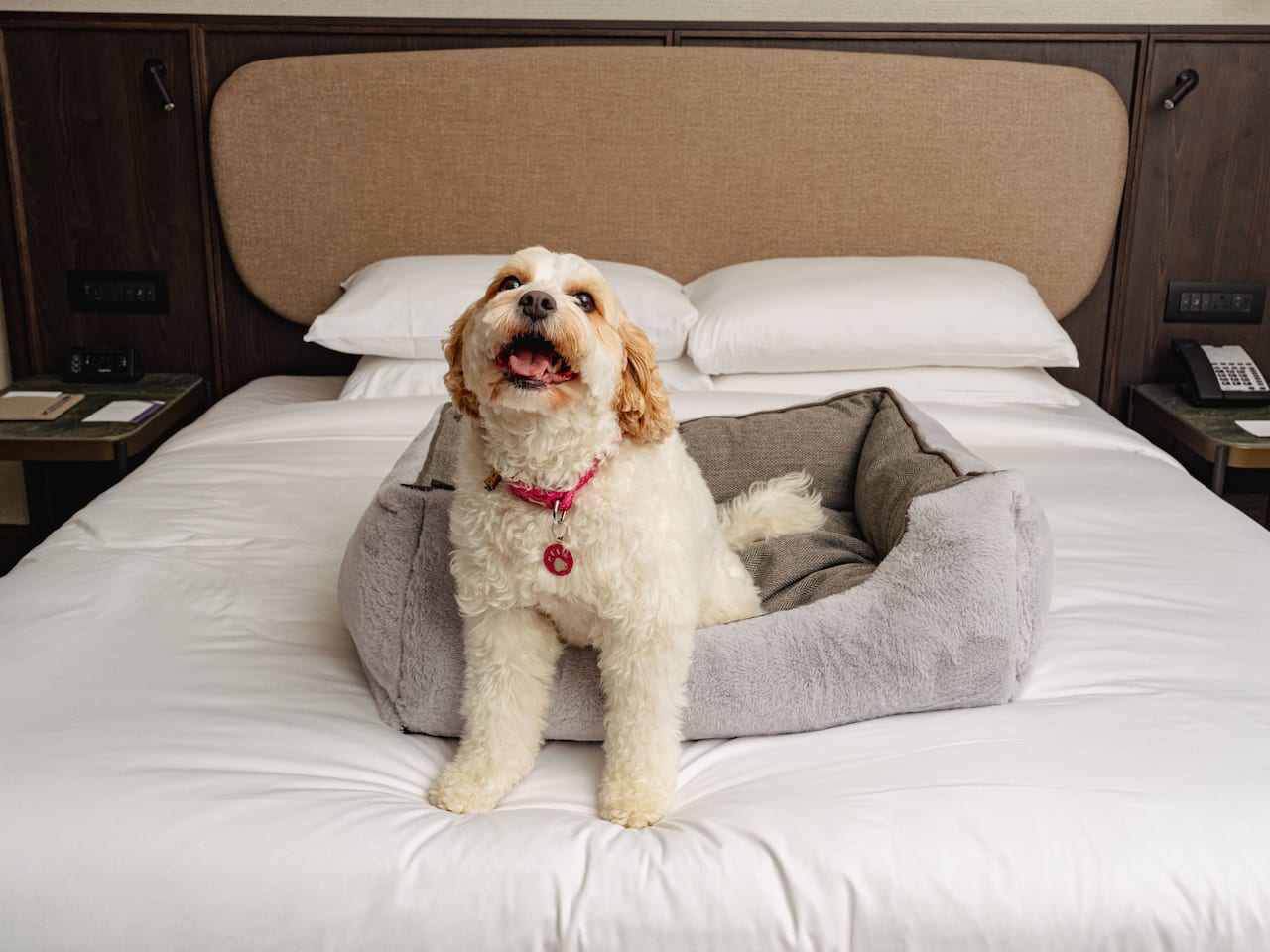 Luxury Hotel in London | Hyatt Regency London Blackfriars