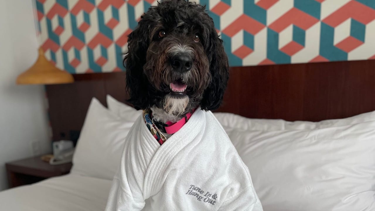 Boutique Hotels in Downtown Durham, NC | Unscripted Durham