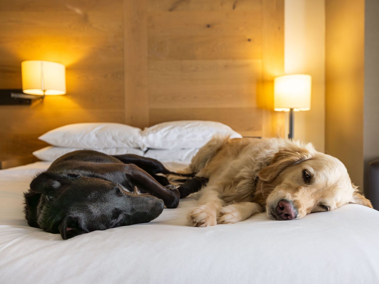 Lake Tahoe Hotel Resort, Spa & Casino | Hyatt Regency Lake Tahoe