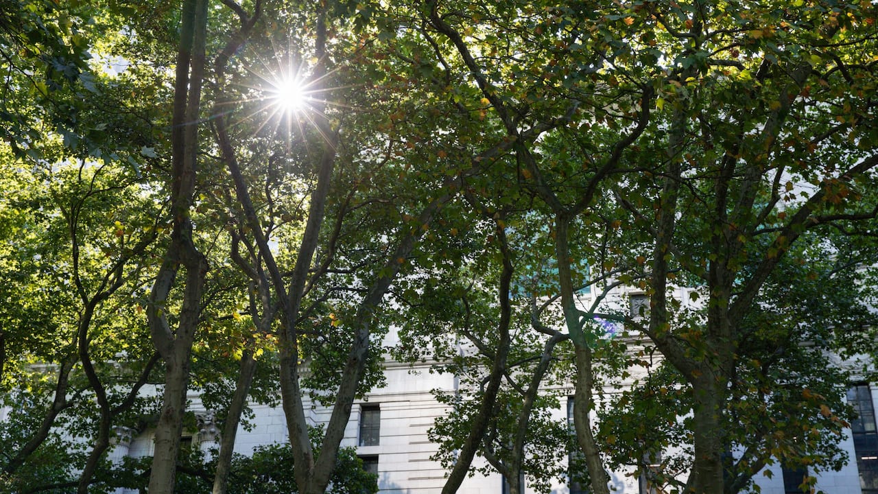 Boutique Luxury Hotel in Midtown Manhattan | Grayson Hotel